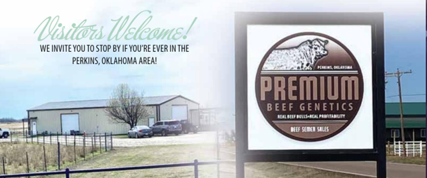 Premium Beef Genetics