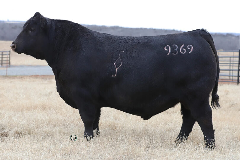 DUFF NATURAL LITE 20224 – Premium Beef Genetics