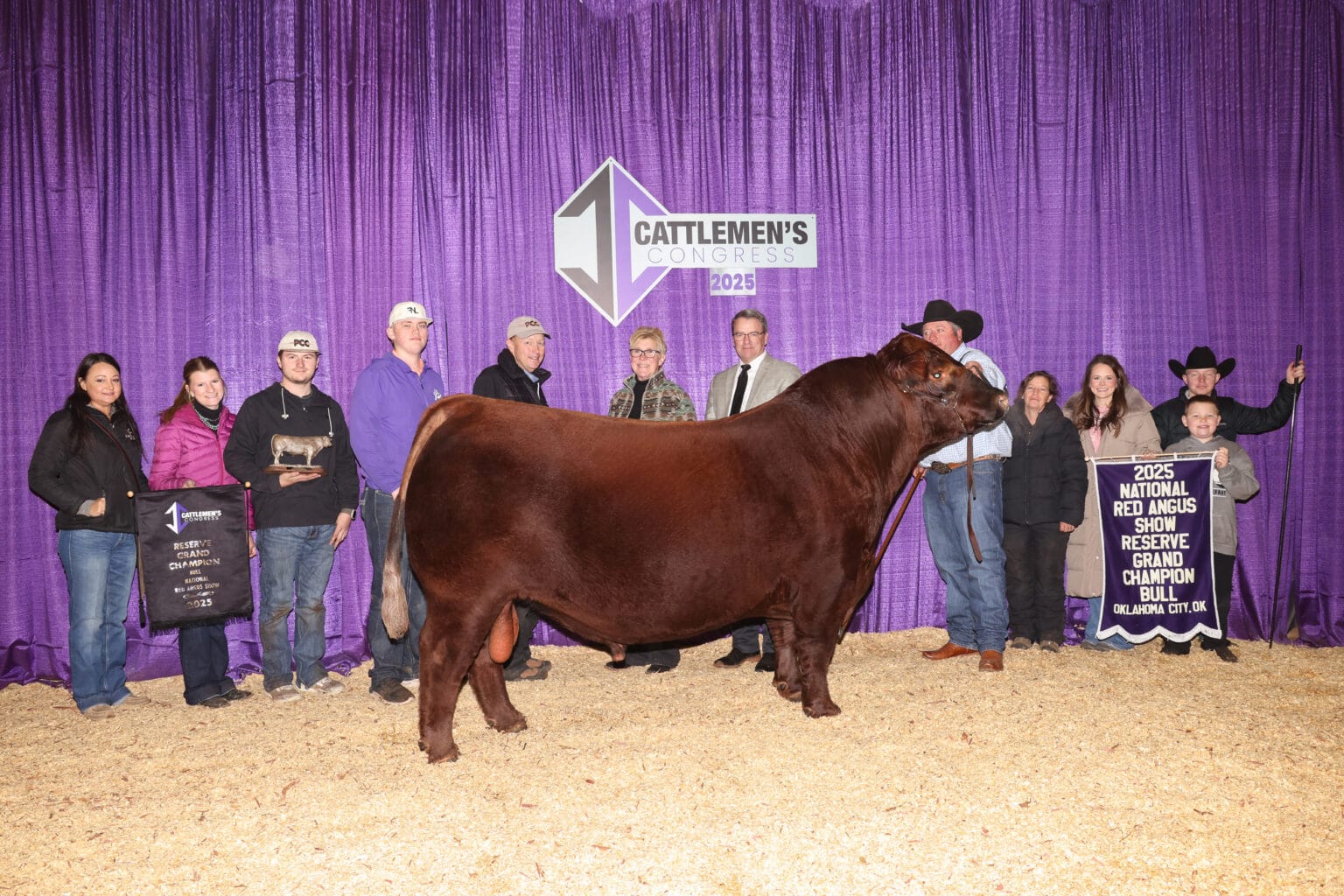 Red Angus – Premium Beef Genetics
