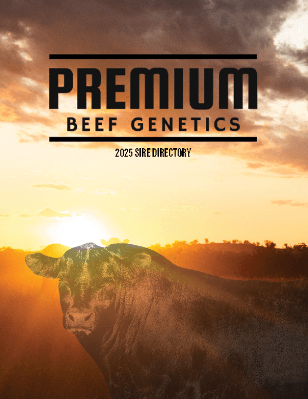 Premium Beef Genetics